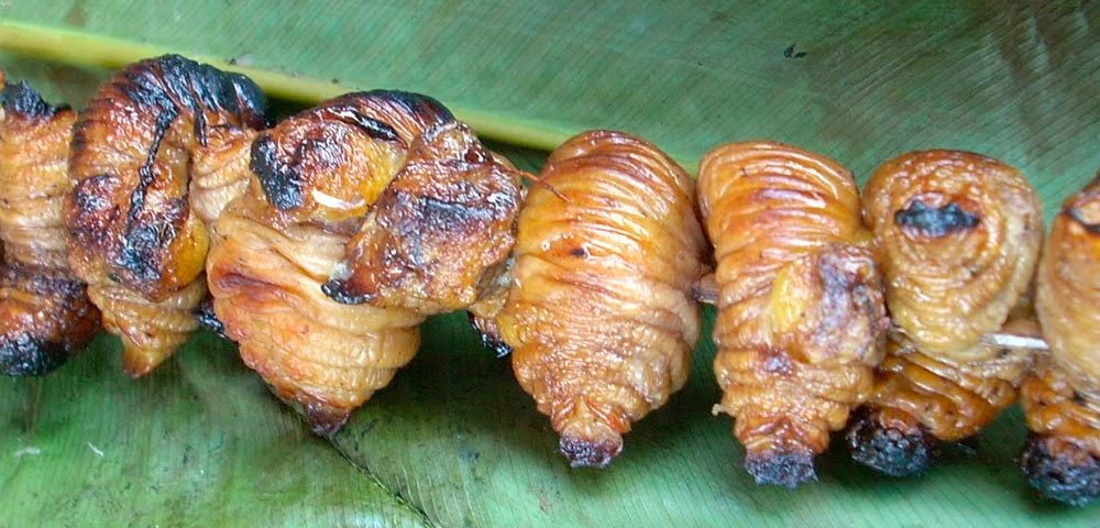 Estos son algunos de los platos más raros que puedes probar en Perú ...