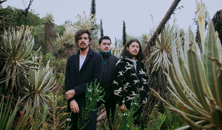 ¿Qué tan fan eres de Telebit? Te retamos con 10 preguntas - Blog Joinnus