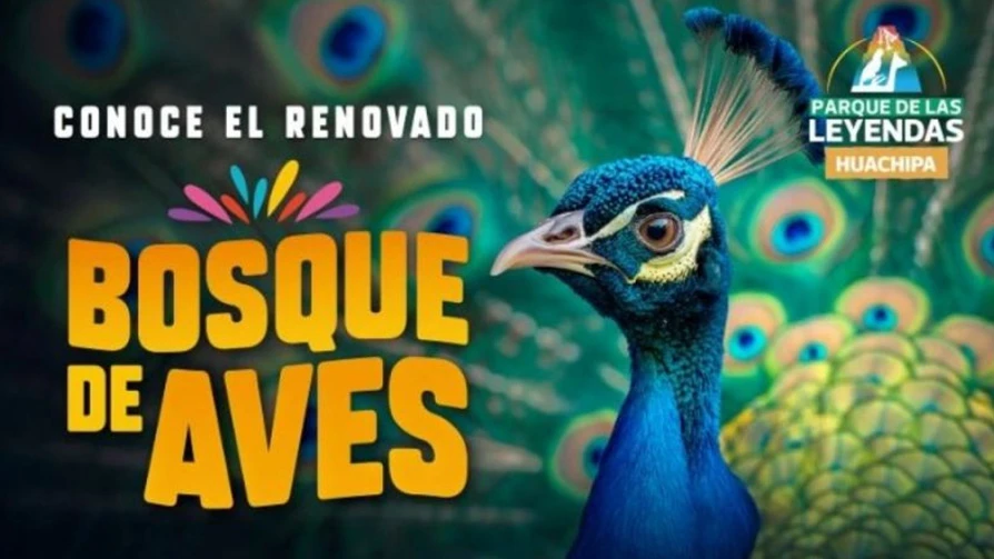 PARQUE DE LAS LEYENDAS HUACHIPA | Joinnus