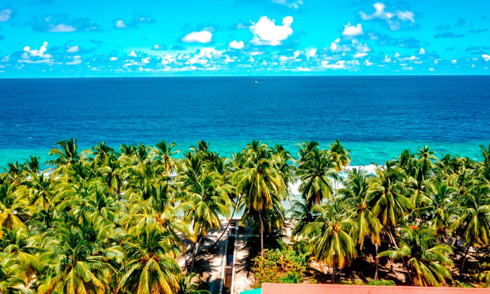 ¡Vive el verano al máximo! Consejos para disfrutar del sol, la playa y ...